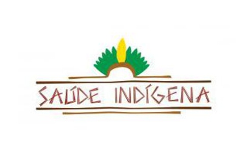 Saúde indígena é tema de formação de apoiadores do Ministério da Saúde ...